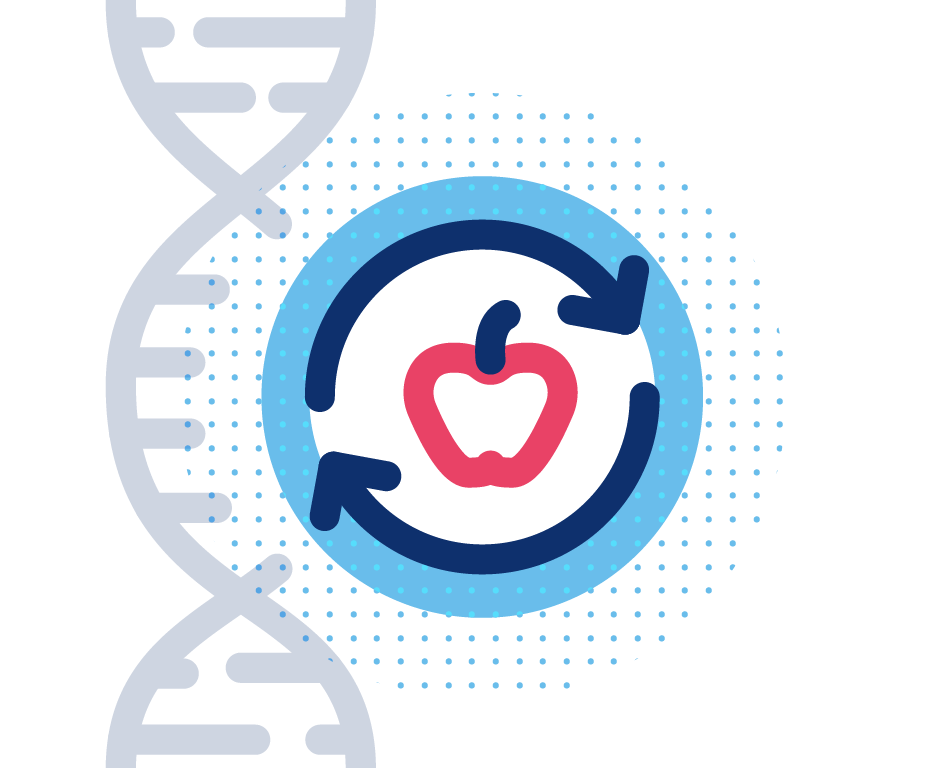 Panel de Síndrome Metabólico | Euroespes Health